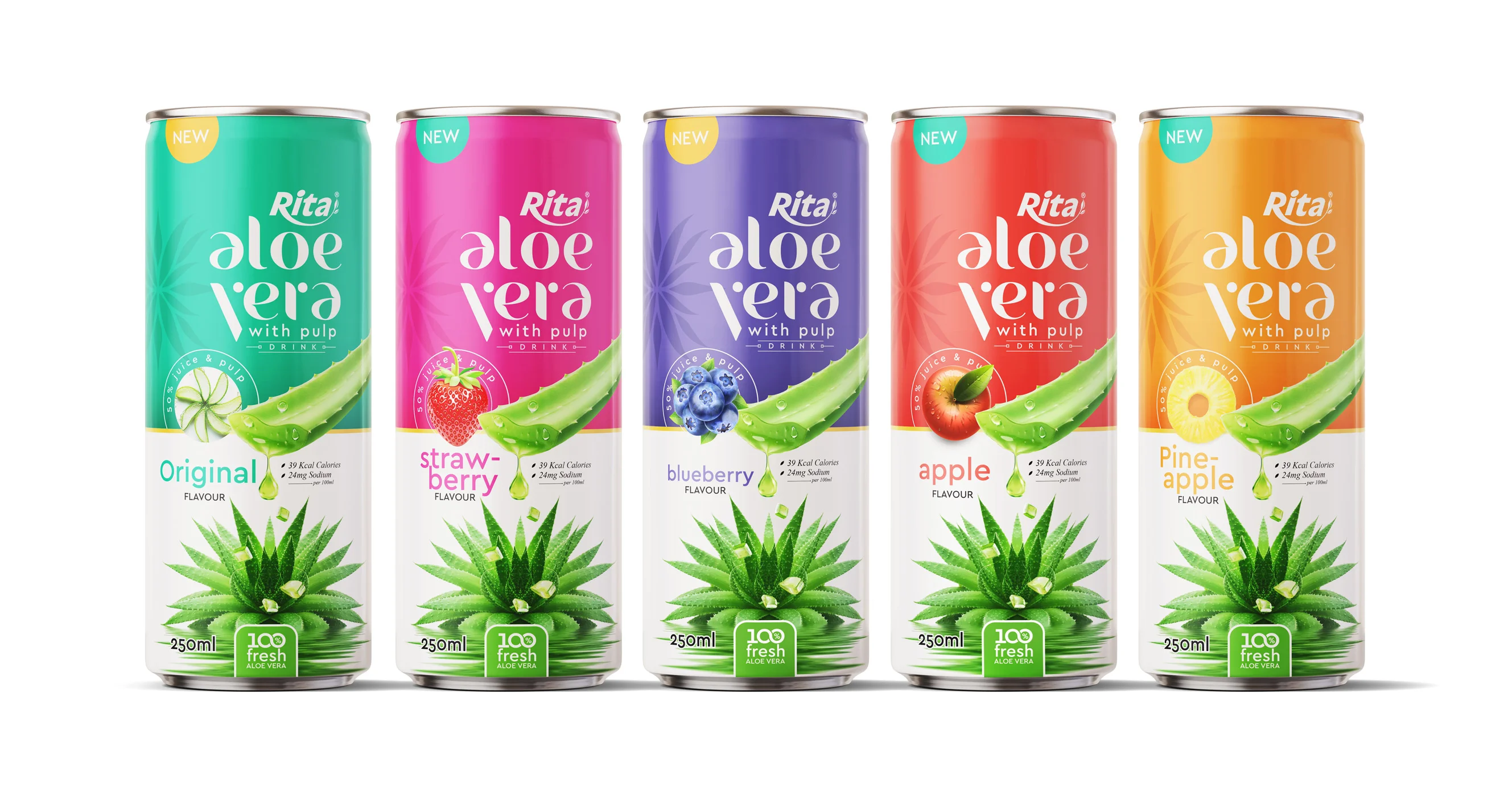 Aloe Vera Juice: 250ml Can Aloe Vera with Pulp Drink Blueberry Flavor